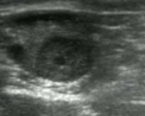 Reproductive Management of Dairy Cattle – A resource guide for bovine ...