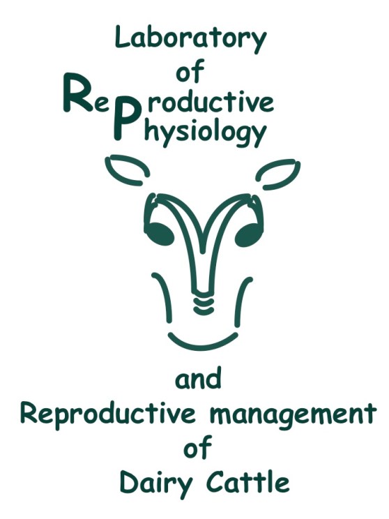 About Us – Reproductive Management of Dairy Cattle